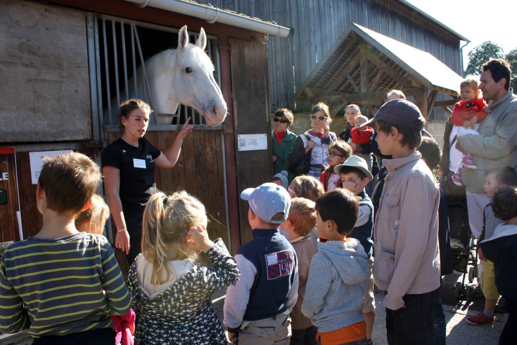 Visite de la ferme sur mesure pour les groupes - Bergerie nationale